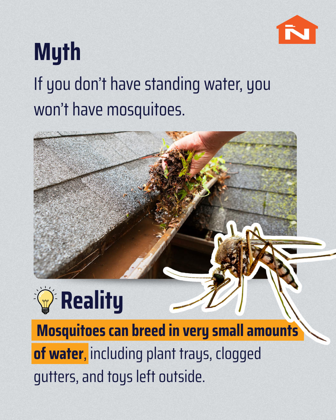 How to Get Rid of Mosquitoes in Your Yard (and Keep Them from Coming ...